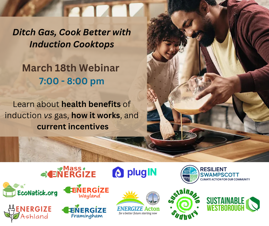 Energize Wayland | Webinar: Induction cooktops